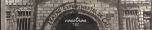 Nosotros – TEC